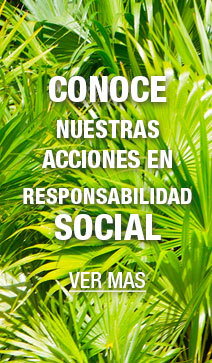 Inicio | ASUR, Mexico's Leading Airports